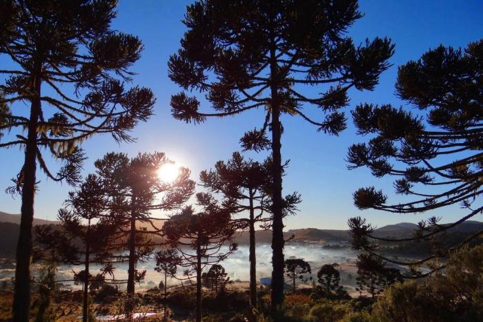 Descubra os encantos naturais da serra catarinense | DG